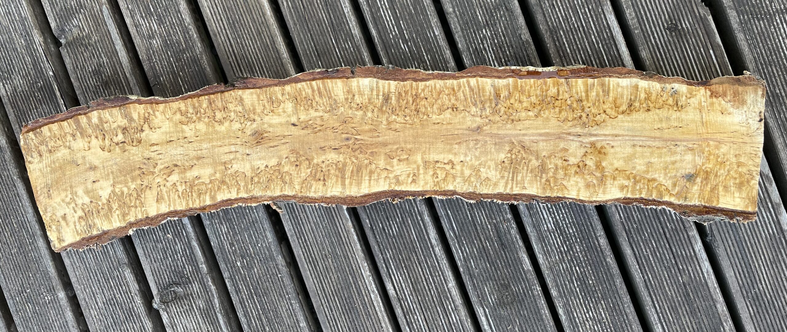 Exotic wood blanks - Curlybirchwood - Curly birch wood