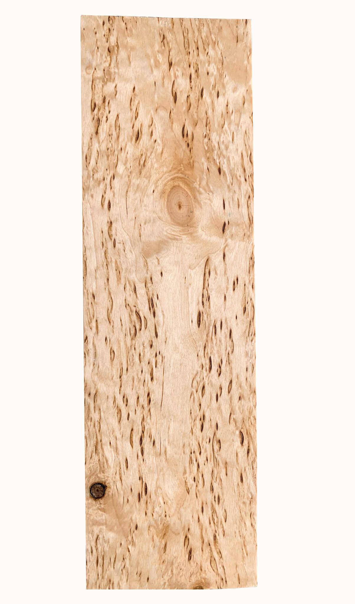 Curly birch: full of surprises - Curlybirchwood